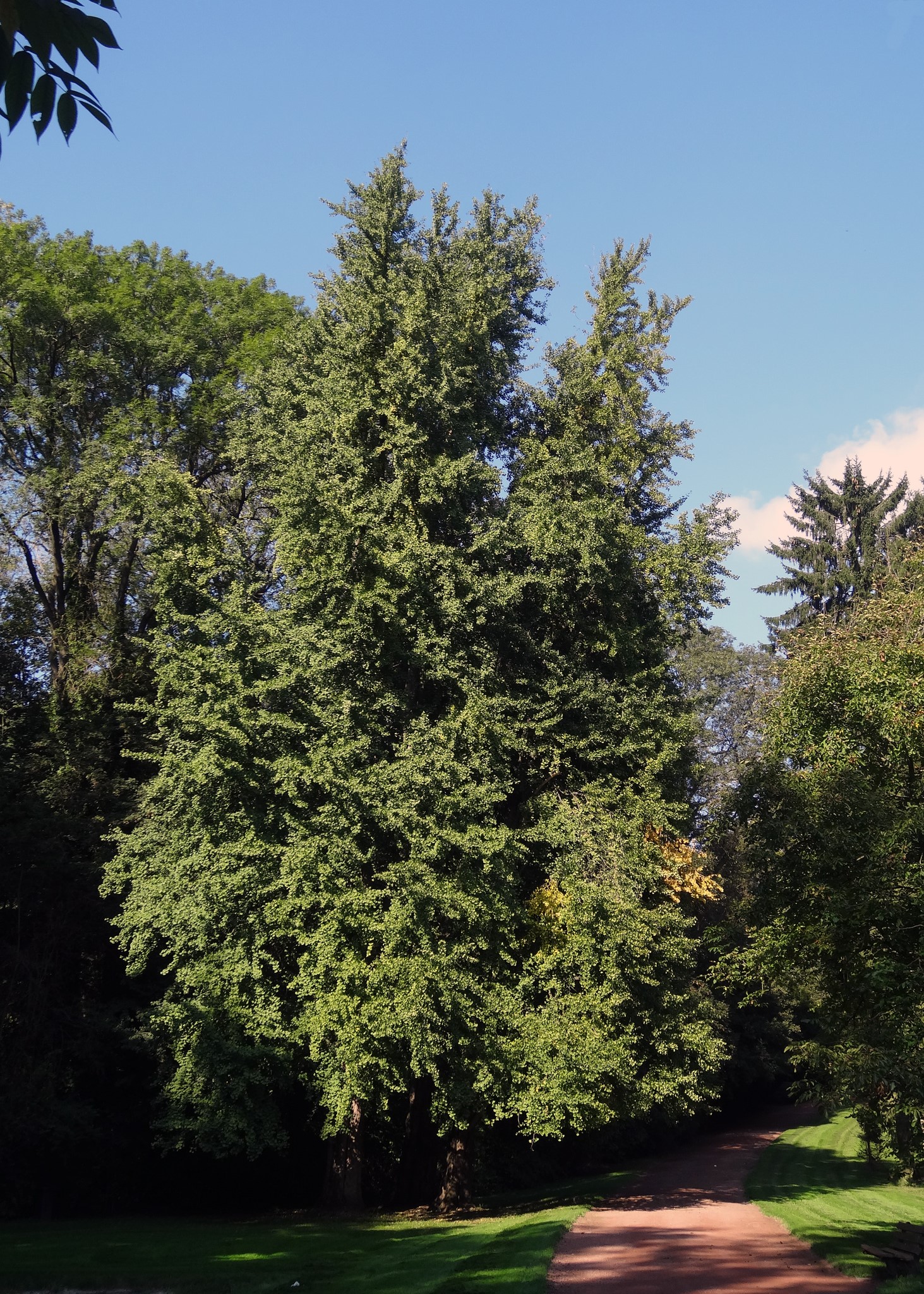 Patrimoine du Domaine | Musée de Mariemont